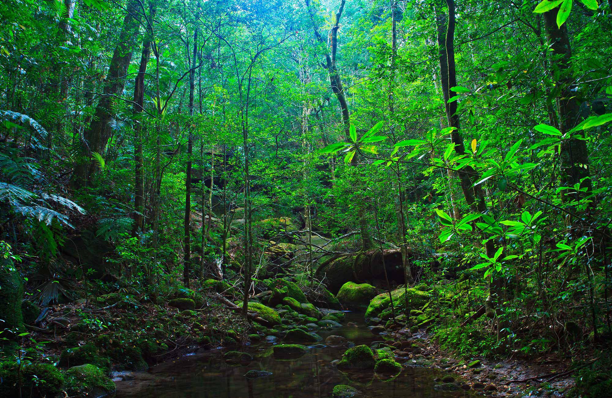 Rejser til Thailand | Rundrejser i Thailand | KILROY